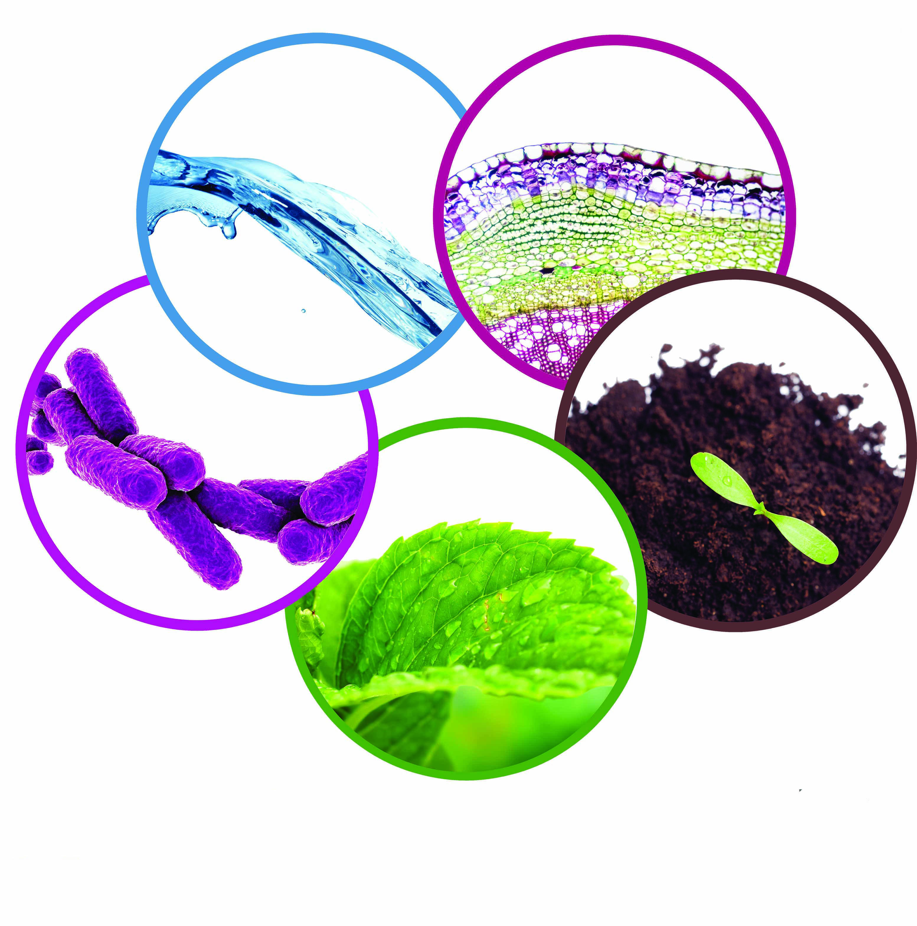 mobiorings - Bioscience Today