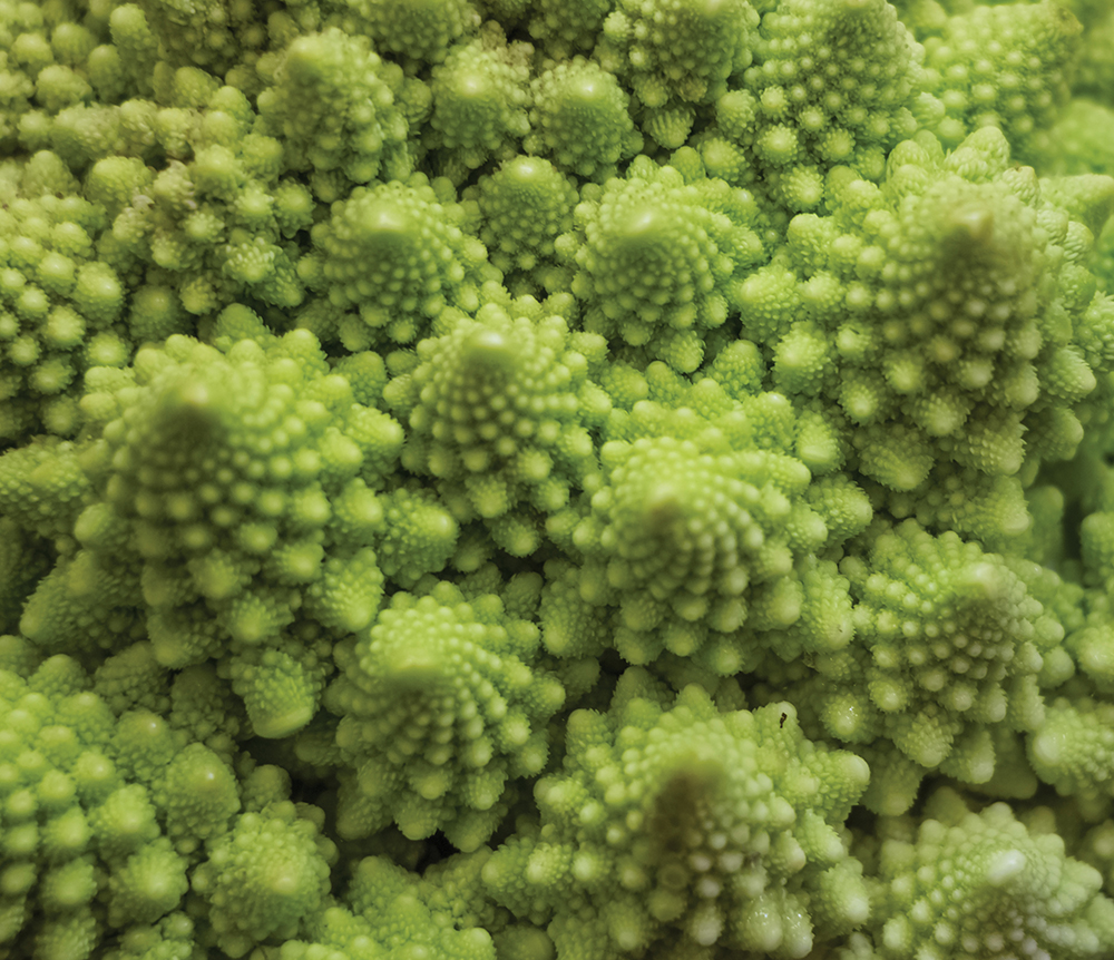 Spiral Romanesco broccoli texture - Bioscience Today