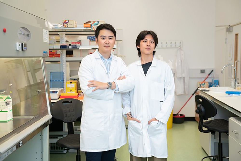 ‘Sunshine against cancer’ RESEARCH breakthrough - Bioscience Today