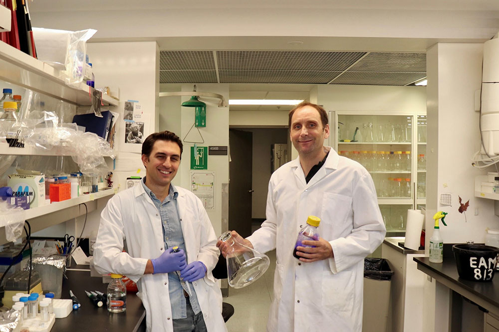 How life-saving molecules are created - Bioscience Today